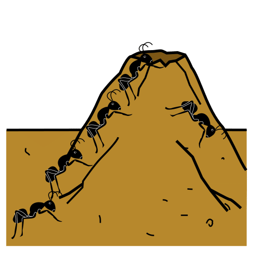 fourmilière