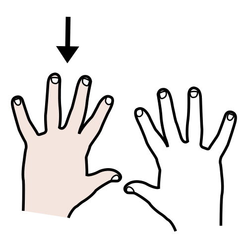 Main gauche - dico visuel LSF