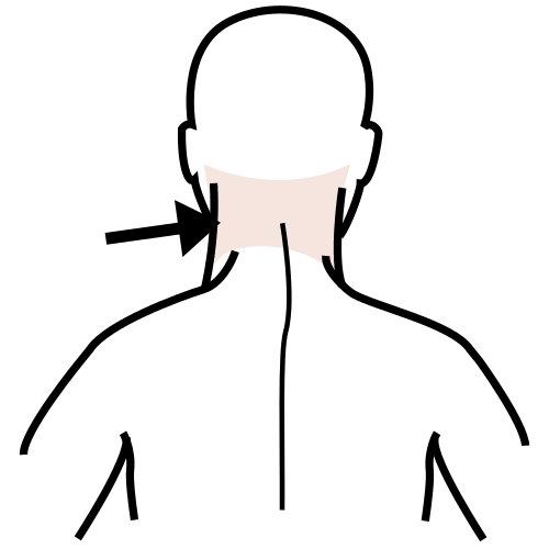Nuque - dico visuel LSF