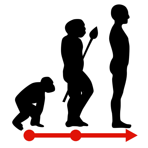 évolution - évoluer - dico visuel LSF